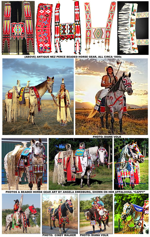 Ancient Nez Perce Art Still Flourishes