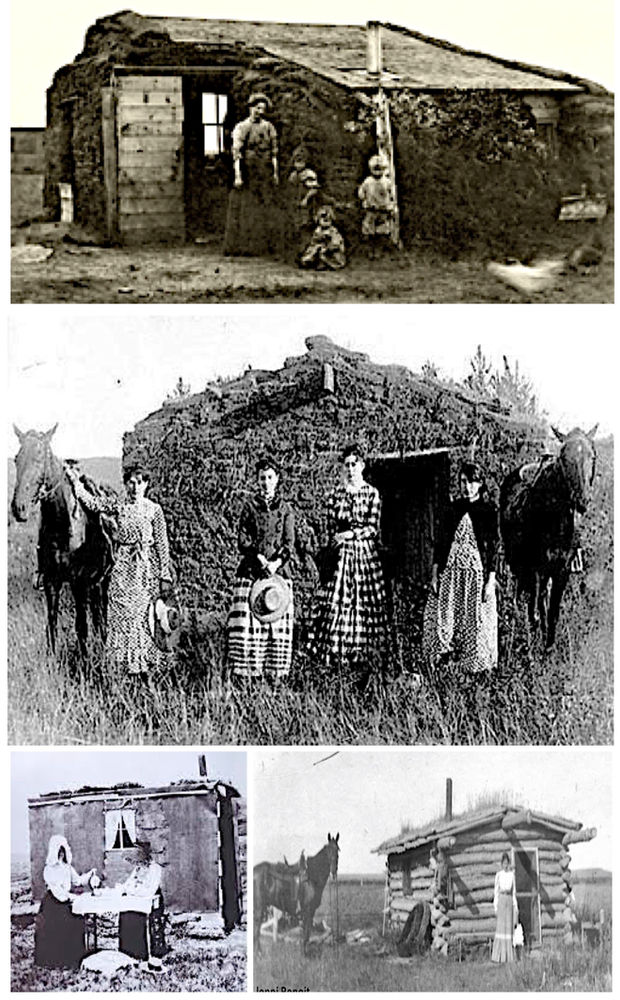 Women Homesteaders: A Farm of Her Own