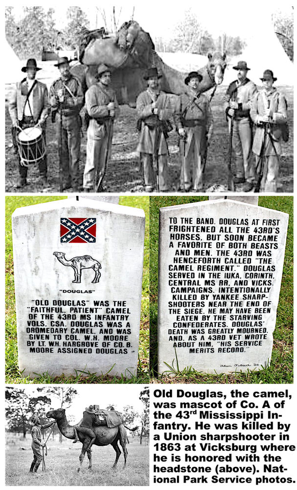 Civil War Animal Mascots