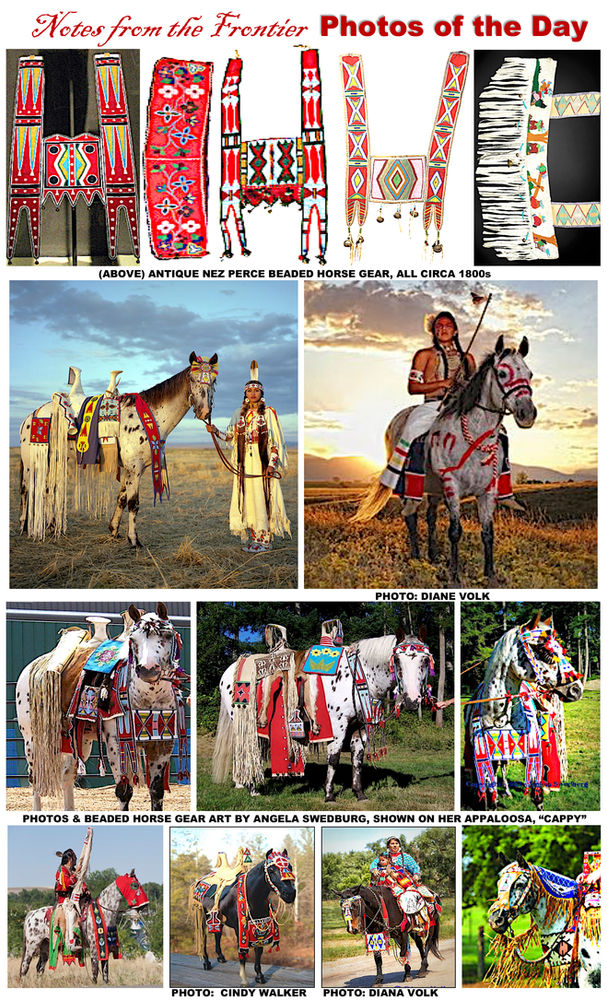 Ancient Nez Perce Art Still Flourishes