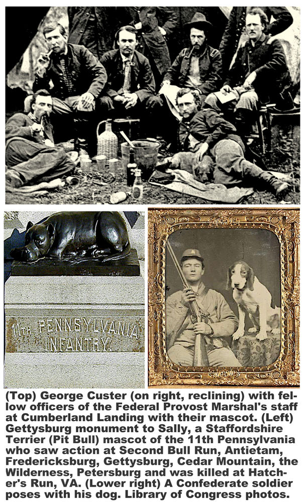 Civil War Animal Mascots