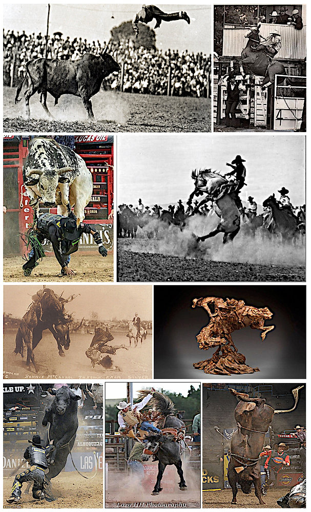 Where Bucking Broncs & Bulls Go to Heaven