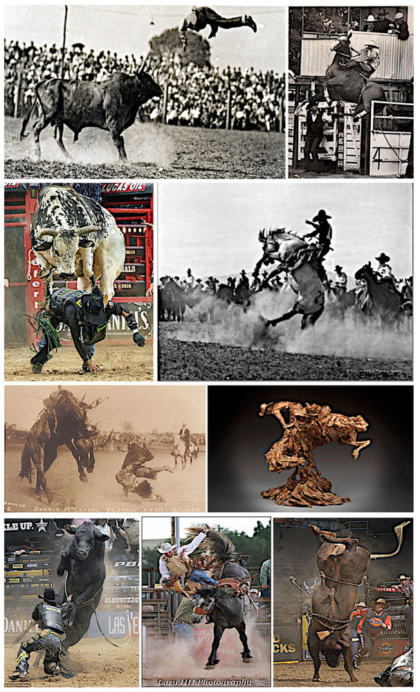 Where Bucking Broncs & Bulls Go to Heaven