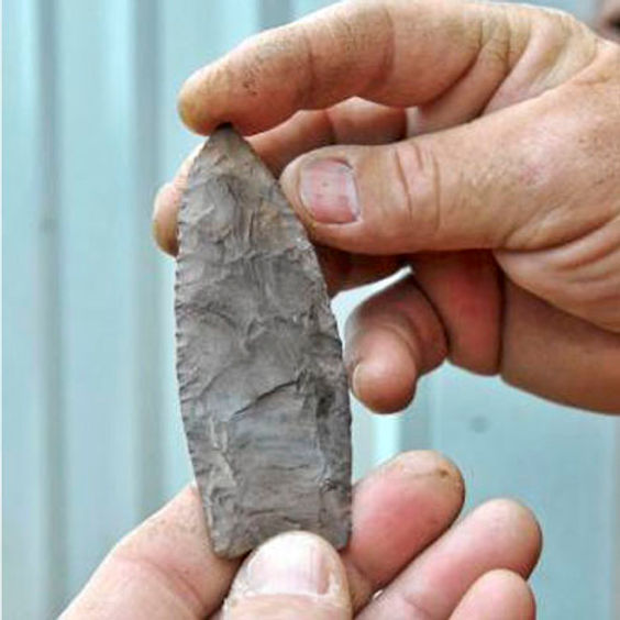 arrowhead shapes chart