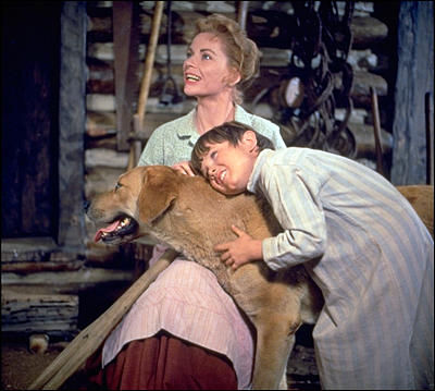 Remembering Old Yeller