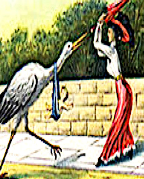 1800's Birth Control