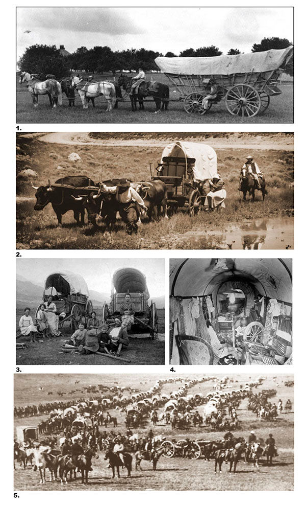 What Pioneers Packed to Go West