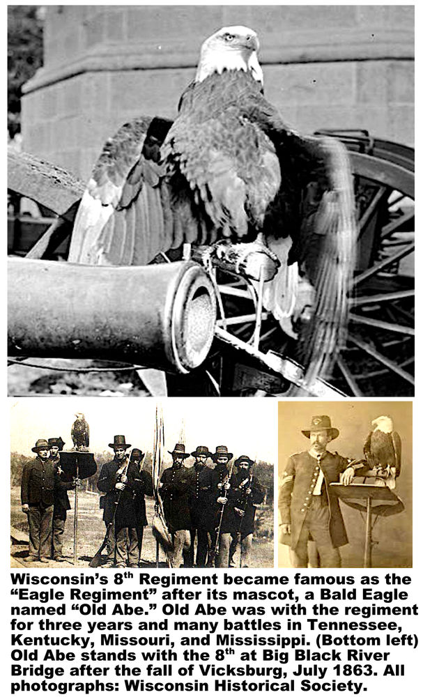 Civil War Animal Mascots