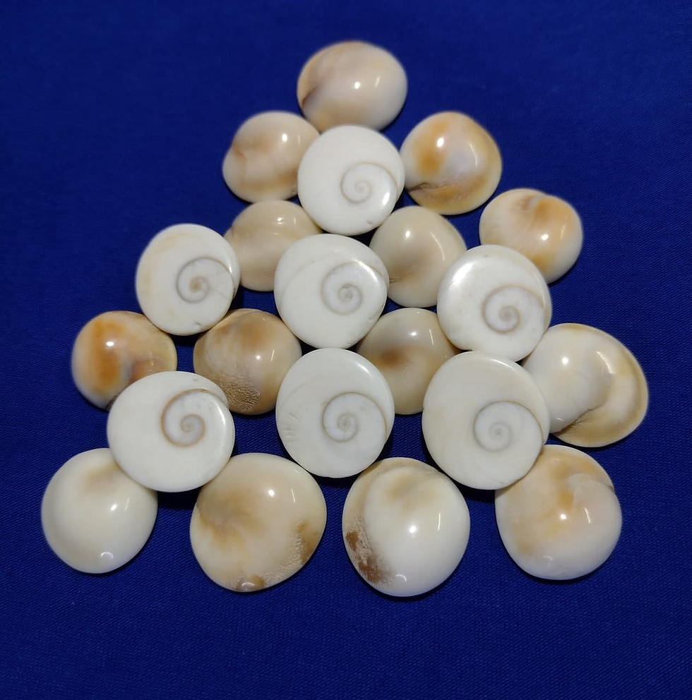 12 Benefits of Gomti Chakra, Rules to Wear, Wealth, Meaning, Ring For ...