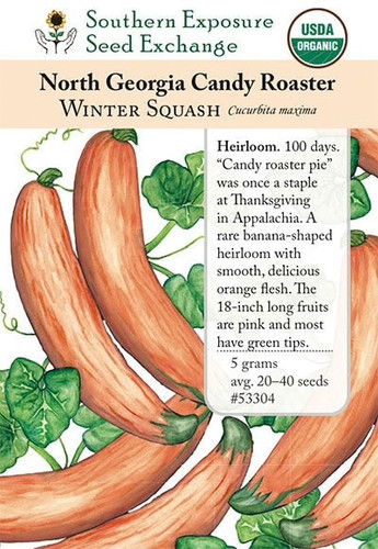 North Georgia Candy Roaster | Old Oak Homestead