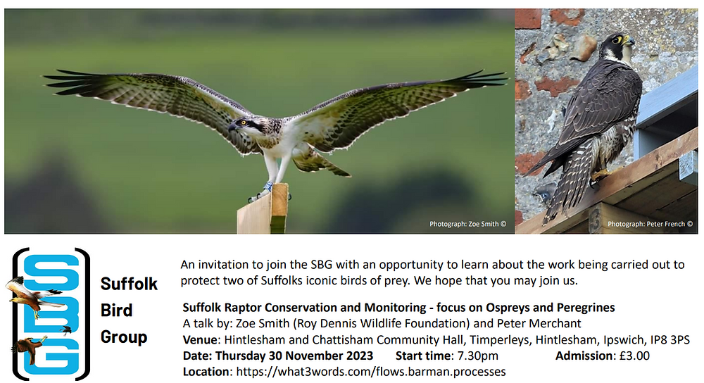 Indoor Event: Raptor Conservation and Monitoring, with a focus on ...