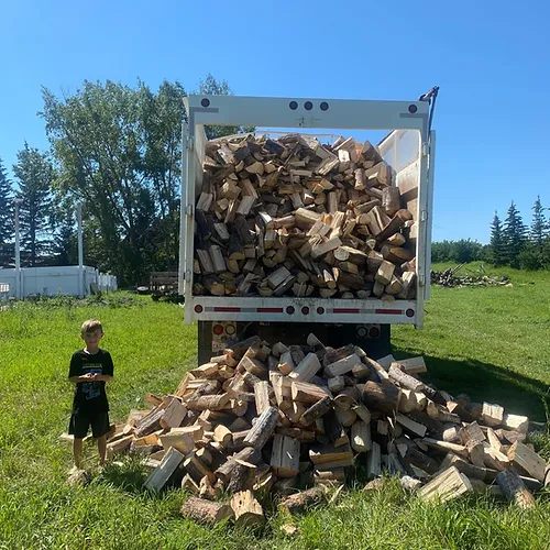Buy Premium Quality Firewood in Calgary, Alberta | Little Lumberjack