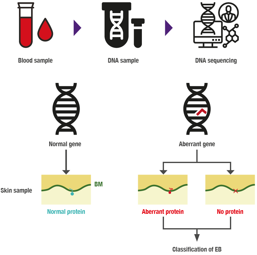 Diagnosing EB | DEBRA International