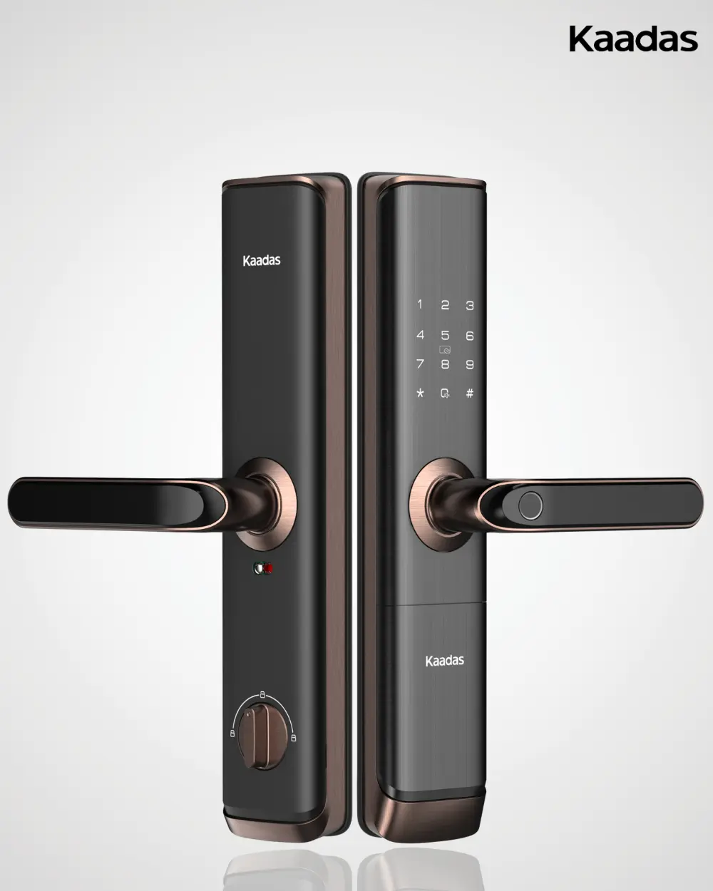 Kaadas S110 Digital Door Lock (WiFi-Enabled) + Gate Lock Bundle | The ...