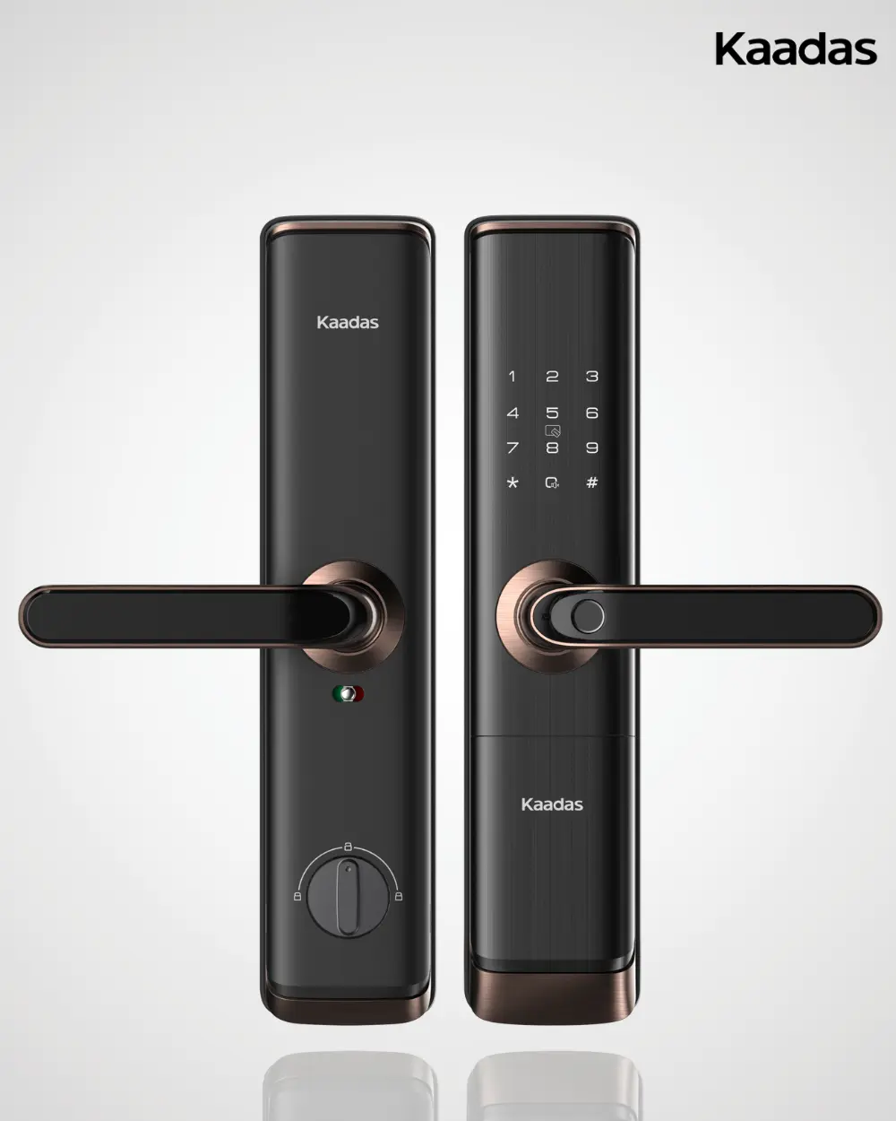 Kaadas S110 Digital Door Lock (WiFi-Enabled) + Gate Lock Bundle | The ...