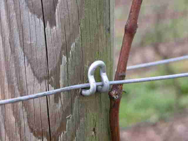 Tuckaway | Tuckaway Staple