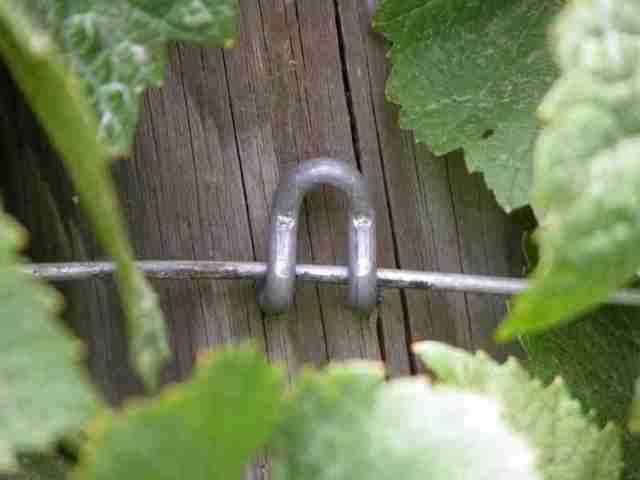 Tuckaway | Tuckaway Staple