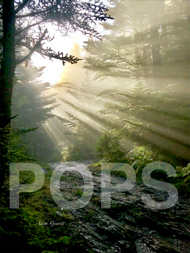 Sunray on Mt Leconte | Up N' Adam