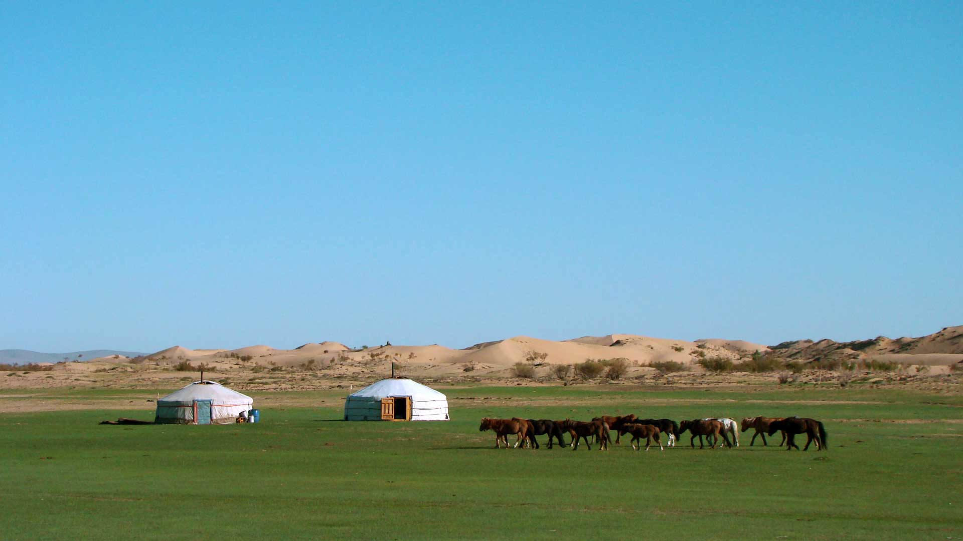 Unforgettable 8-Day Adventure: Exploring the Mysteries of the Gobi ...