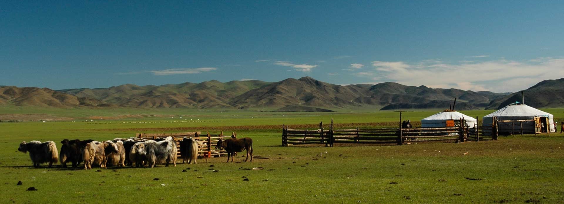 Exploring the Endless Beauty of Mongolia Tour within 12 days