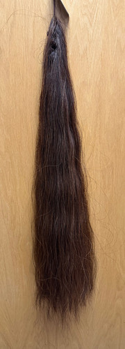 Horse Tail Extension - Sorrel | Thrifty Horse