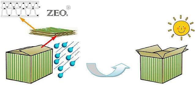 Innovative ZEO® Corrugated Box – The Best Bodyguard for Fruits