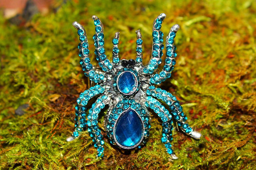 Venomous Visions | shop | UK | invert seller