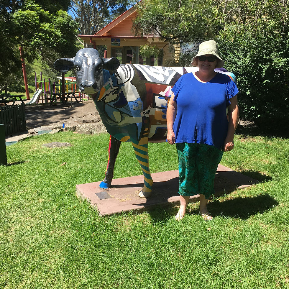 Cow Competitions for CWA Conference in Bega