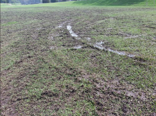 Kyla Park sportsground surface destroyed by vandals