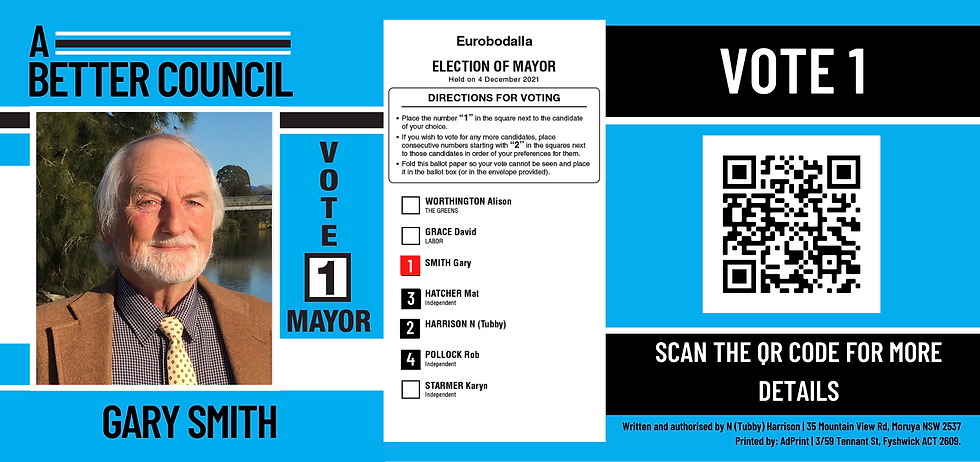 How to Vote handouts