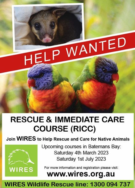 VOLUNTEER to HELP WILDLIFE, become a Rescuer and Carer March 4th