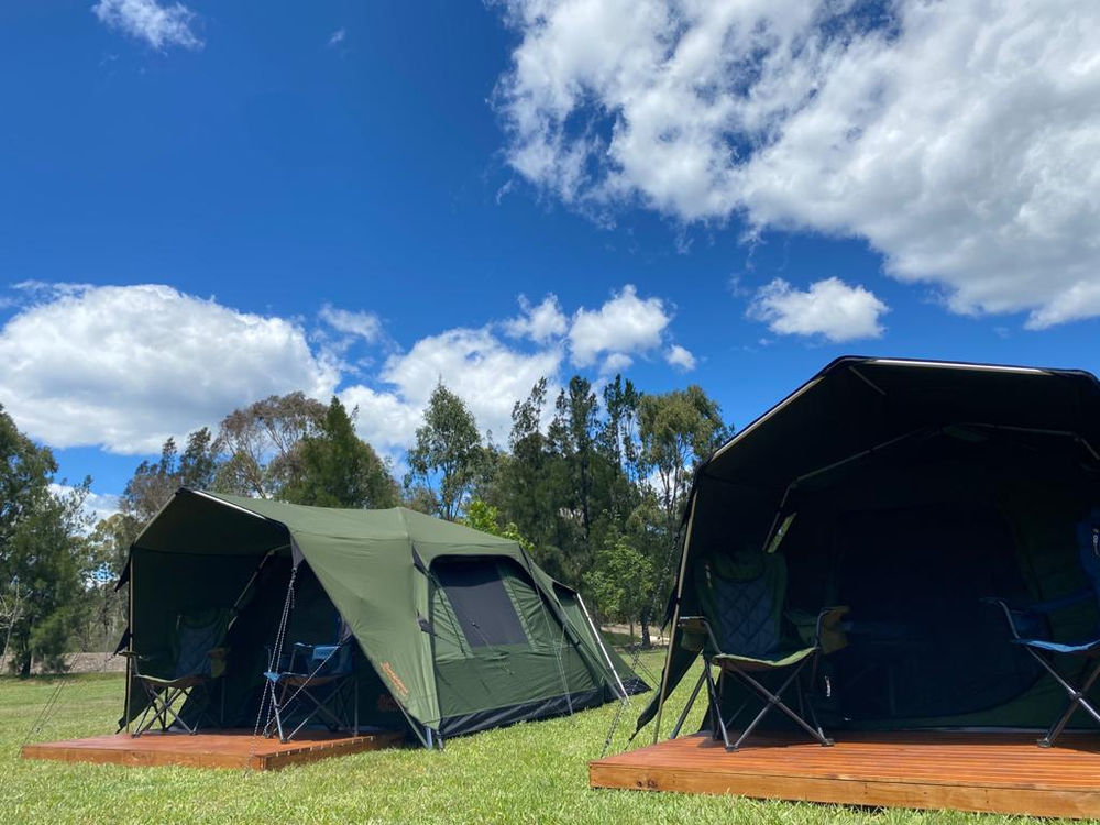 Mogo Camping Adventures arrives at Mogo Wildlife Park