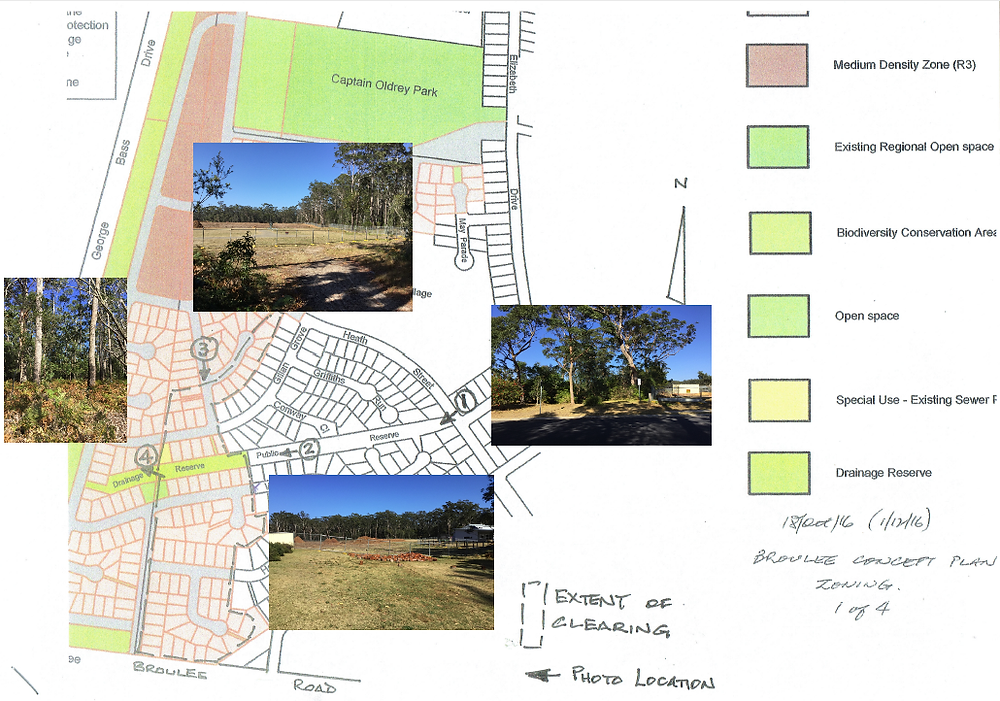 7000m2 of Broulee bush public reserve clear felled by developers