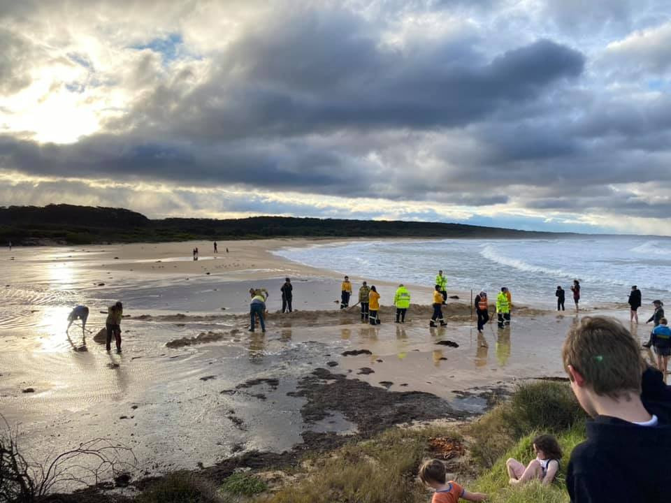 Lake Mummaga at Dalmeny open