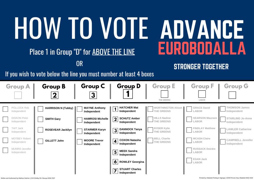 How to Vote handouts