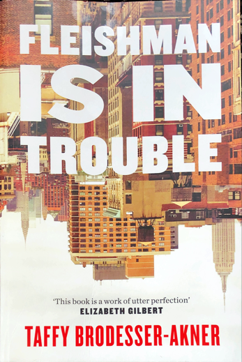 Fleishman is in trouble: a review