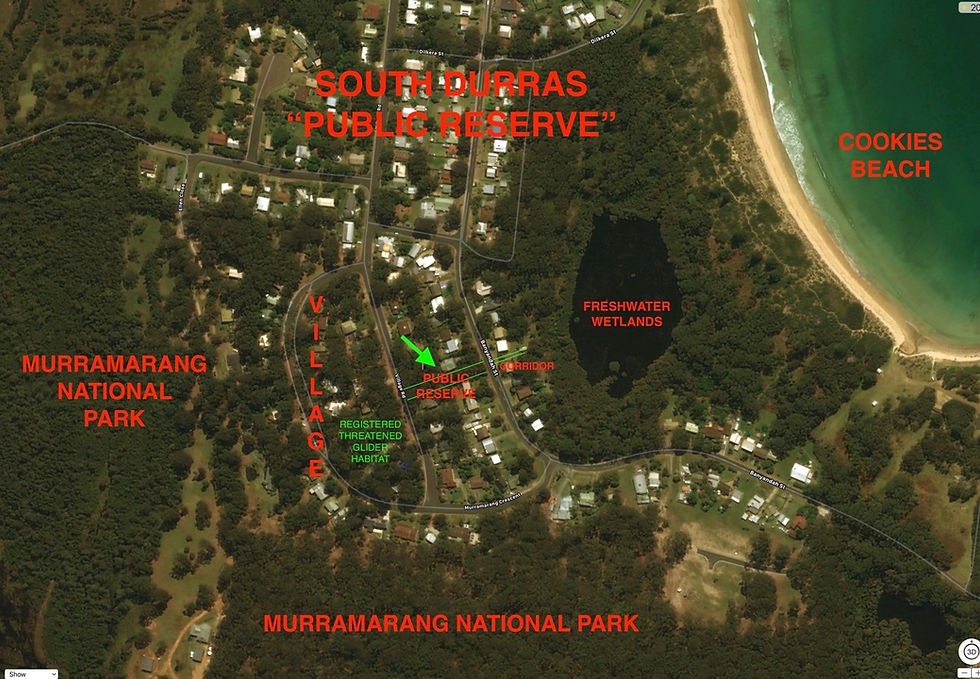 Residents Object to Proposed Reclassification of Public Reserve, South ...