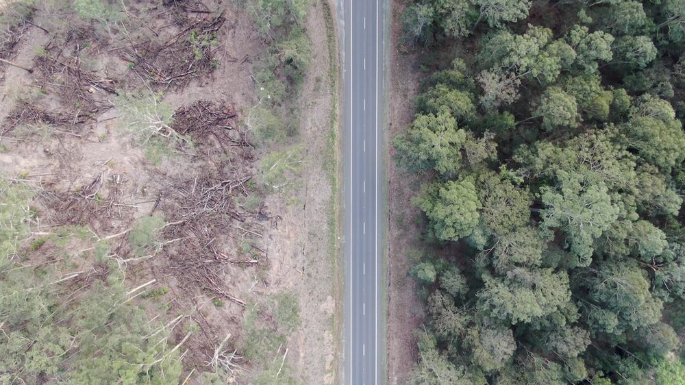 Logging 'slash' fire risk at Benandarah State Forest must be cleaned up ...