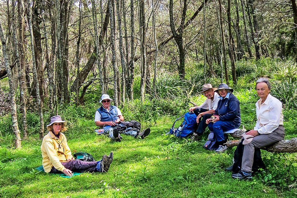Dalmeny and Narooma Bushwalkers: Potato Point Bird Life Walk