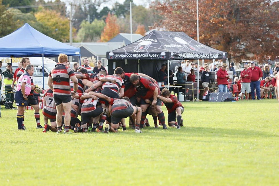 Boars down Redbacks 26 to 10