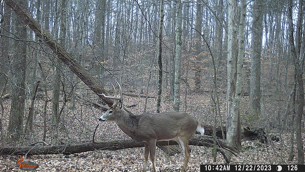 4 Common Trail Cam Mistakes