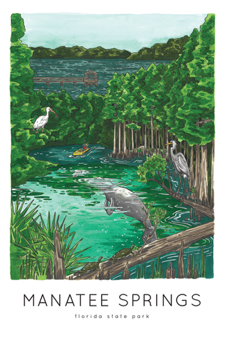 Manatee Springs Florida State Park Print | jellypressco