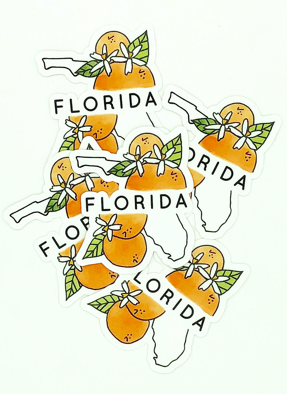 florida | jellypressco 3/5