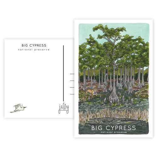 Big Cypress National Preserve Postcard | jellypressco