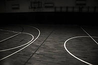 REGULATION FIMBA CHAMPIONSHIPS | FIMBA WEB