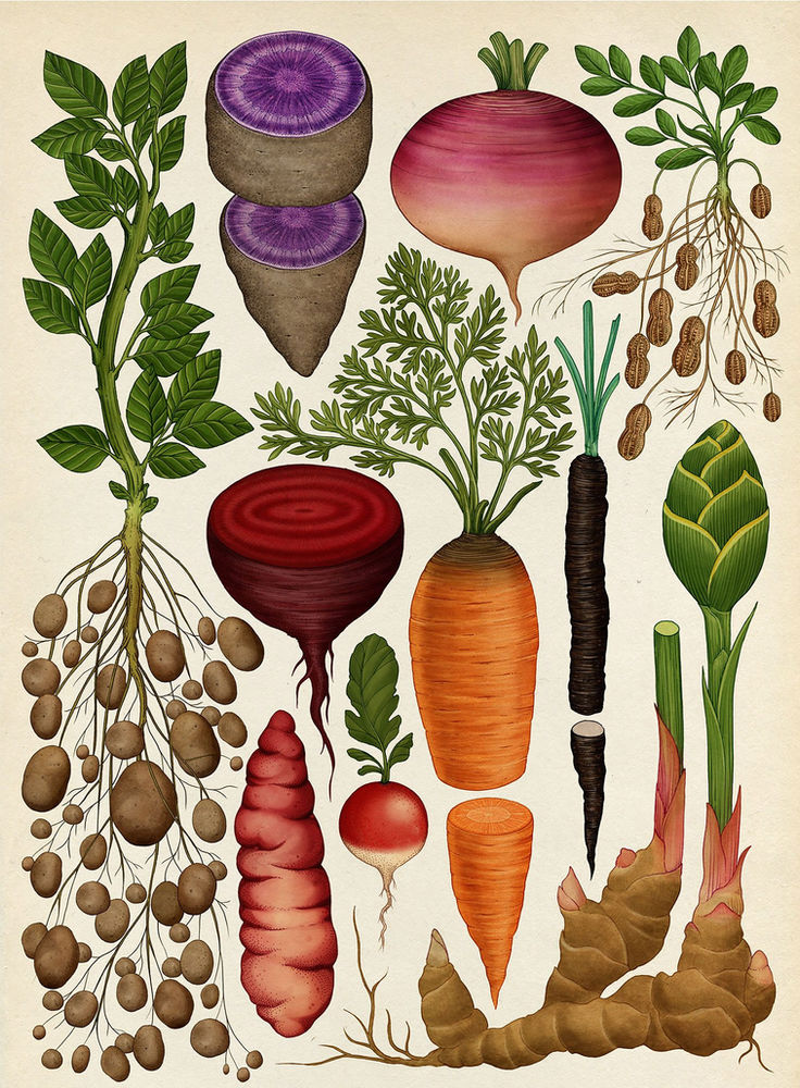 Katie Scott e suas fantásticas ilustrações