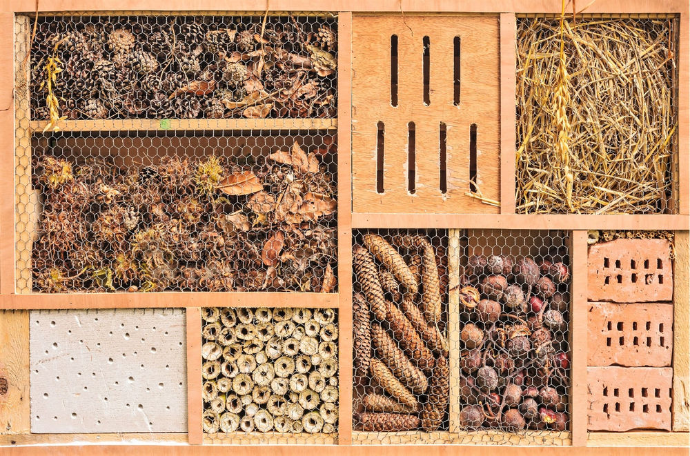 Você conhece o hotel para insetos?