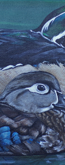 Art | Blue Wolf Design