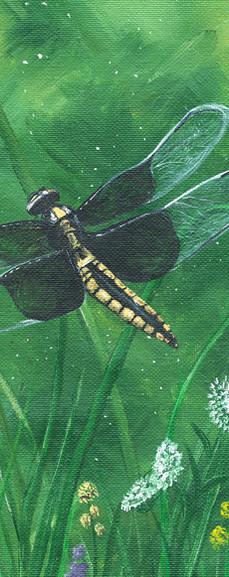 Art | Blue Wolf Design