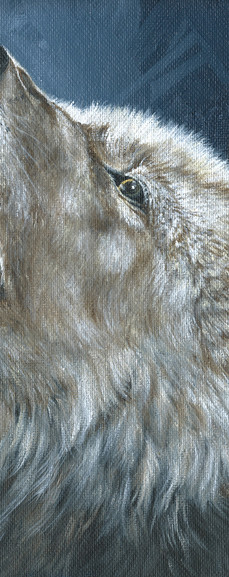 Art | Blue Wolf Design